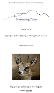 Drakensberg Times - Spring 2024